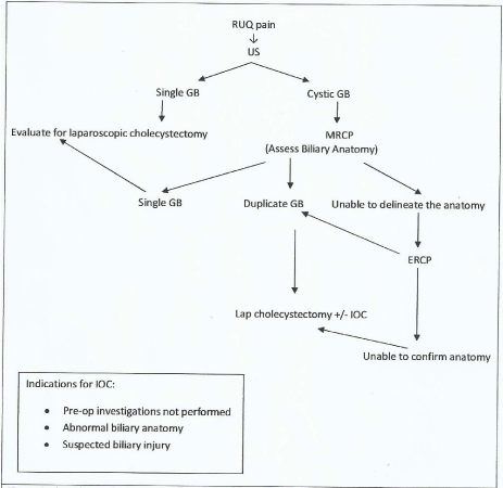 Duplicate Gallbladder: Overview and Management Challenges