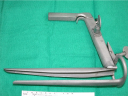 Zenker’s Diverticulum: Endoscopic Surgical Management Options