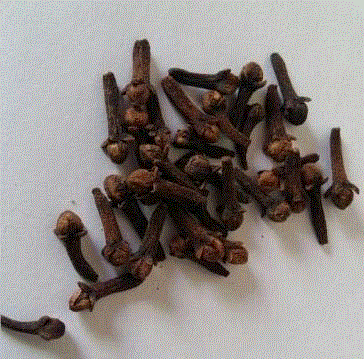 Burning Skin on Face Following the Use of Cloves (Syzygium Aromaticum)