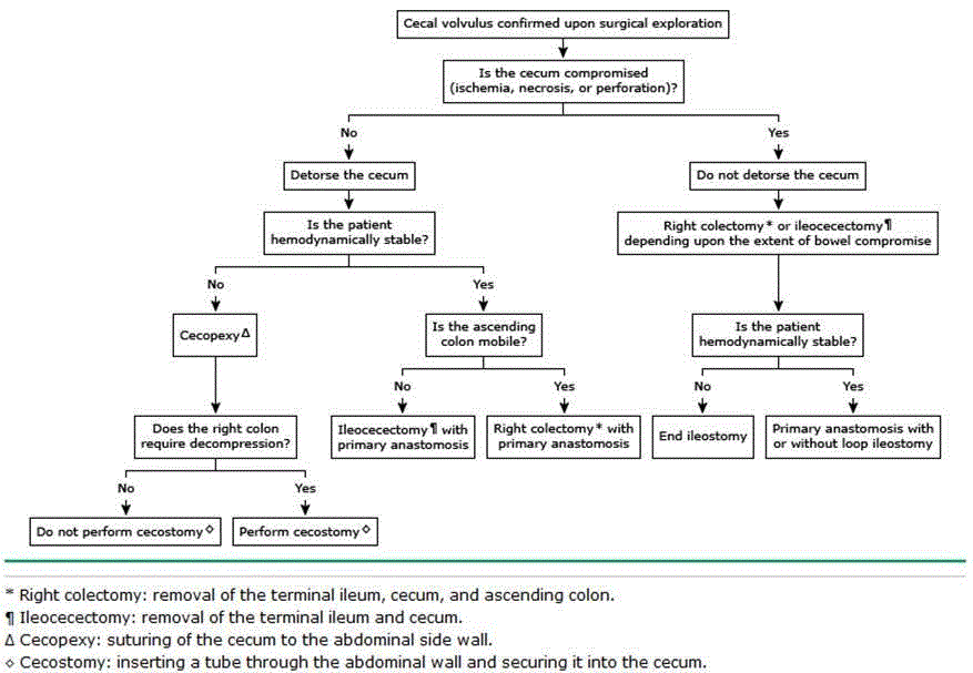 Cecopexy, a Reemerging Treatment for Cecal Volvulus: Case Report and ...
