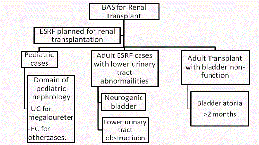 Bladder Augmentation Surgery in Prospective Renal Transplant Recipients ...